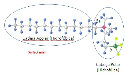 Molécula com regiões polares e apolares | Química Geral – DQ UFMG